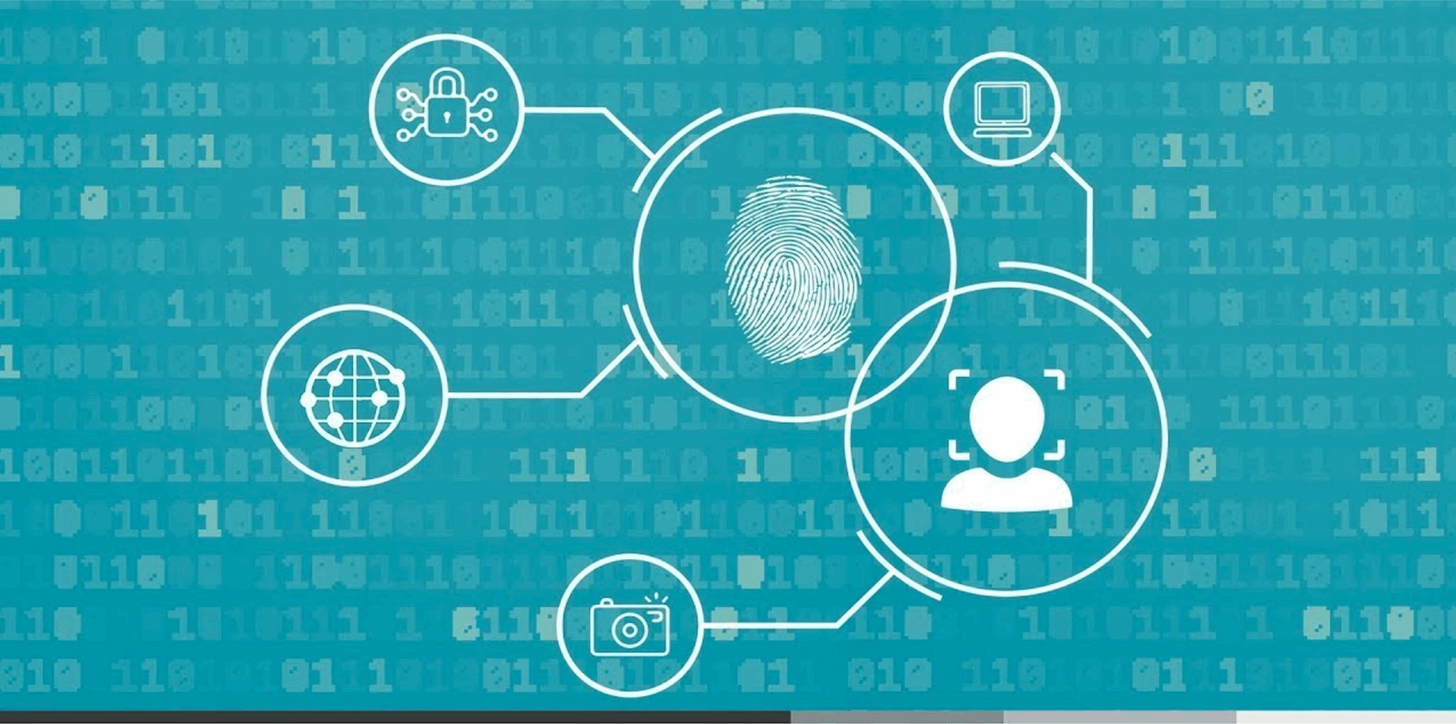 RCMP Fingerprints VS IRCC Biometrics: 2 Key Differences You Must Know